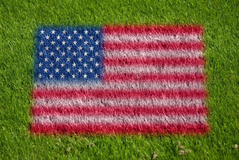American flag grass stock photo. Image of outdoor, grassland - 185777792