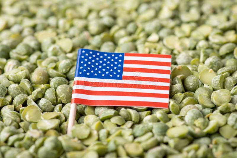 Flag of USA on pea grain stock image. Image of concept - 269681029