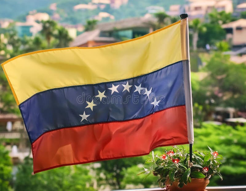 Venezuela Flag. the National Flag of Venezuela Stock Illustration ...