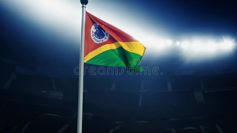 Flag Waving Under Dramatic Lighting in an Empty Stadium at Night ...