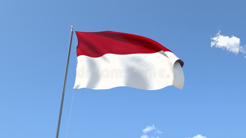 Monaco flaga. zbiory wideo. Video złożonej z flaga, real - 38450647