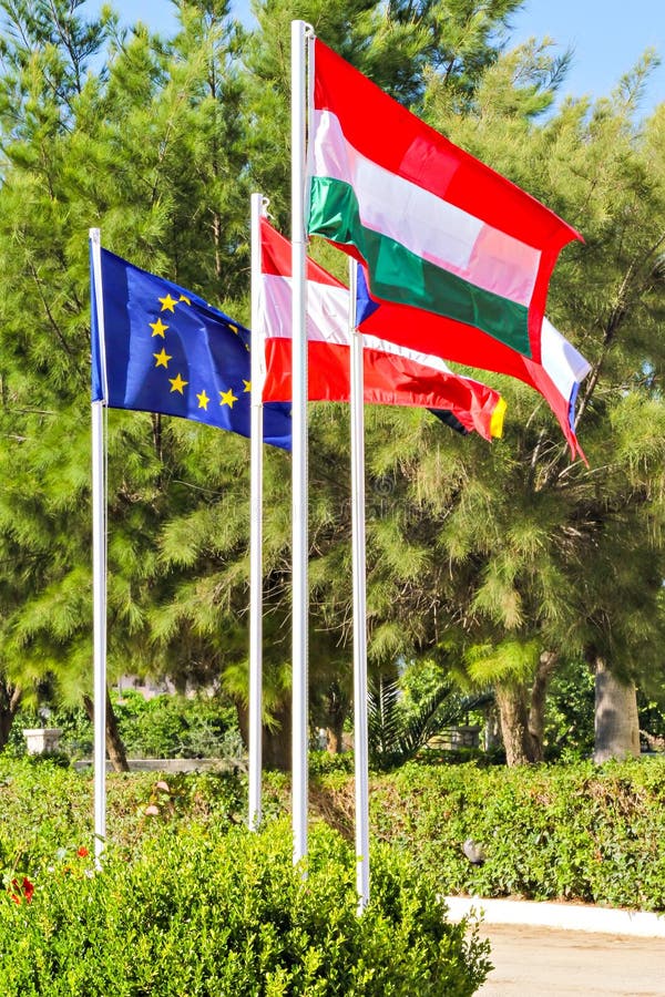 Flaga UE kraje zdjęcie stock. Obraz złożonej z fala, flaga - 31497124