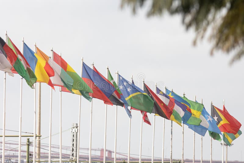 Flags of Countries Fluttering in the Wind Next To Trees Stock Image ...
