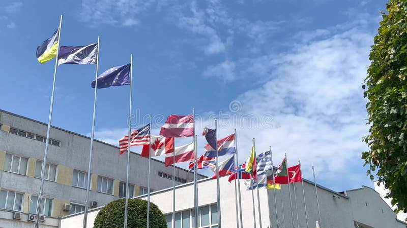 Flags of Different Countries Together on Flagpoles Stock Video - Video ...