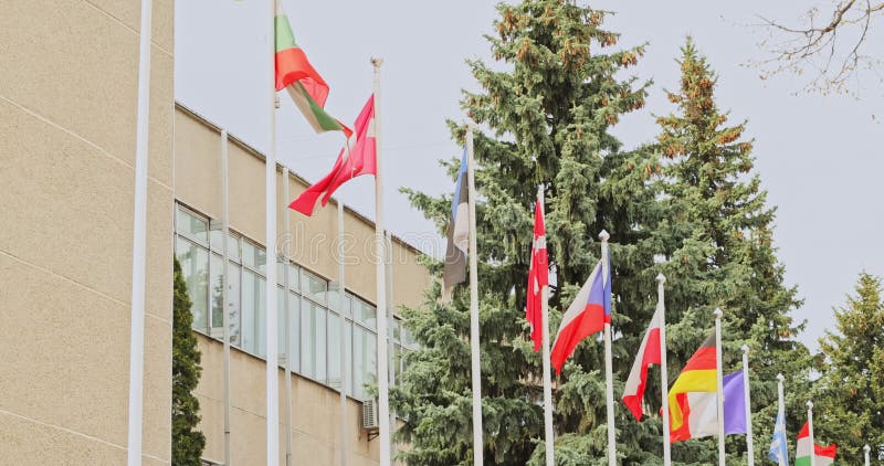 Flags of Different Countries Waving in the Wind Stock Footage - Video ...