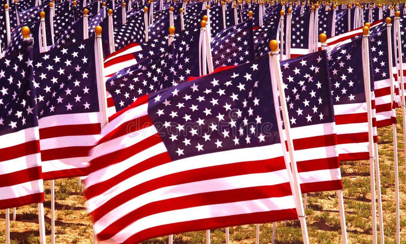 Flags in a field. stock image. Image of american, culture - 35978245