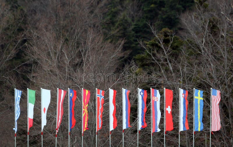 Flags in front of forest stock photo. Image of forest - 84591032