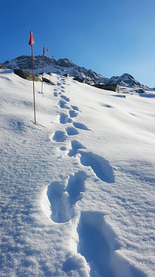 Fresh Footsteps, Footprints, Shoe Prints or Shoe Marks in the Shallow ...