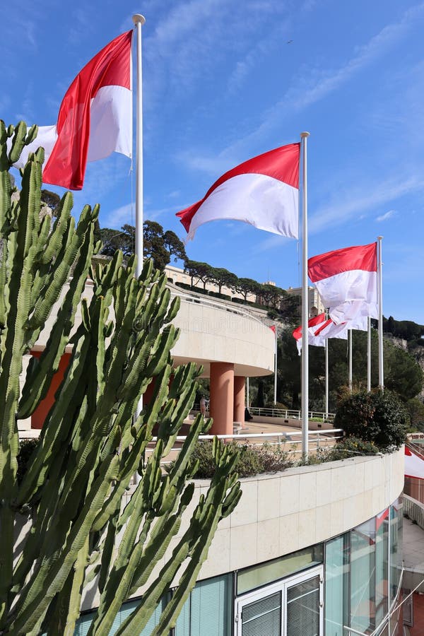 Flags of Monaco Fluttering in the Wind Near the Rock with the Castle of ...