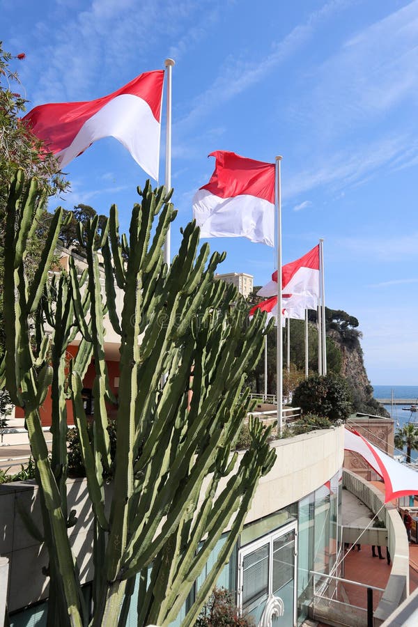 Flags of Monaco Fluttering in the Wind Near the Rock with the Castle of ...