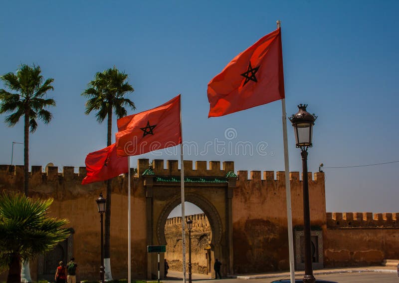 Flags of Morocco editorial photo. Image of palm, blue - 77630776
