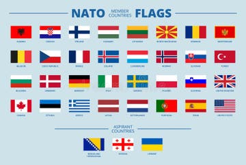 Flags of NATO Members and Aspirations Countries. Stock Vector ...