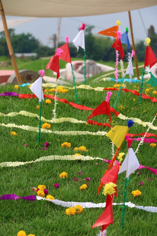 Flags Over the Green Grass Field Stock Image - Image of flag, grass ...