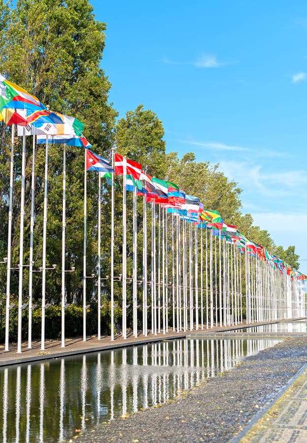 Flags in park. stock photo. Image of events, colorful - 102949378