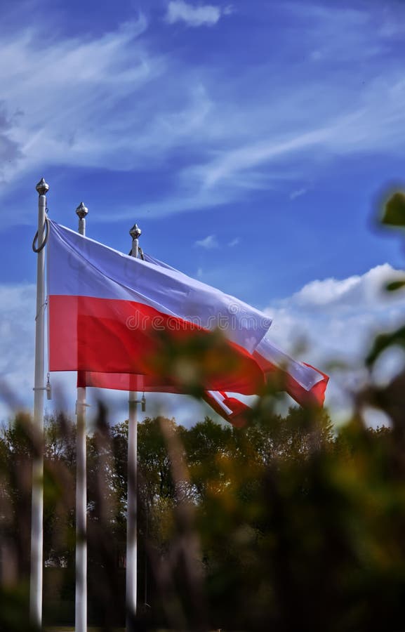 Flags of Poland stock photo. Image of country, horizontal - 387099520