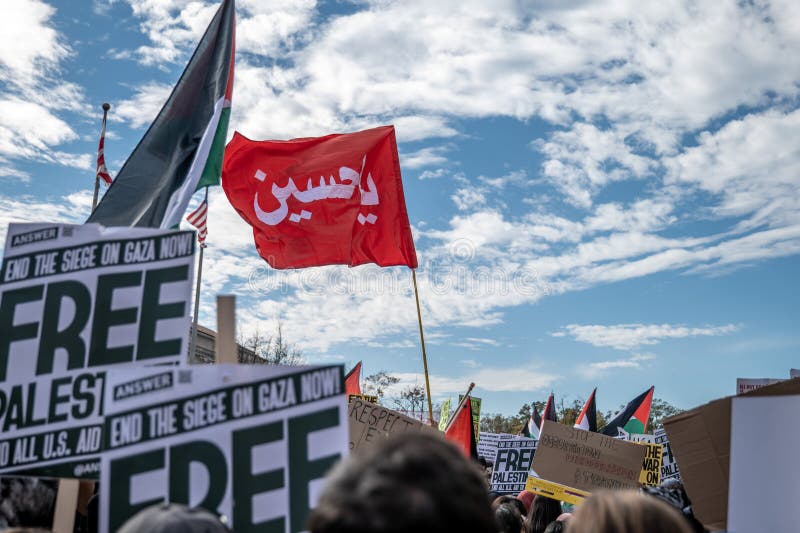 Washington, DC - 11-4-2023: Flags at Pro-Palestine March Editorial ...