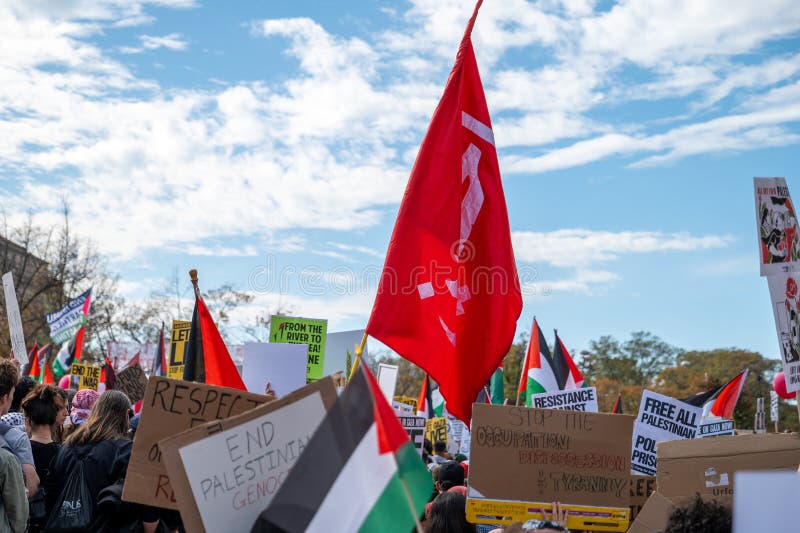 Washington, DC - 11-4-2023: Flags at Pro-Palestine March Editorial ...