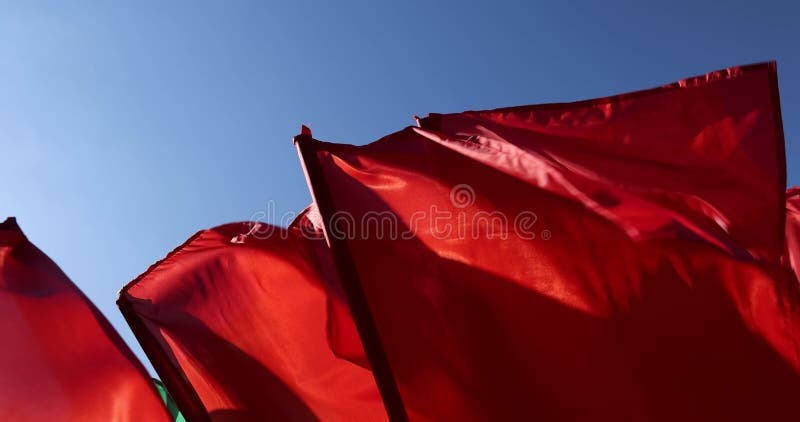Flags Set Up during the Celebration in Windy Weather Stock Footage ...