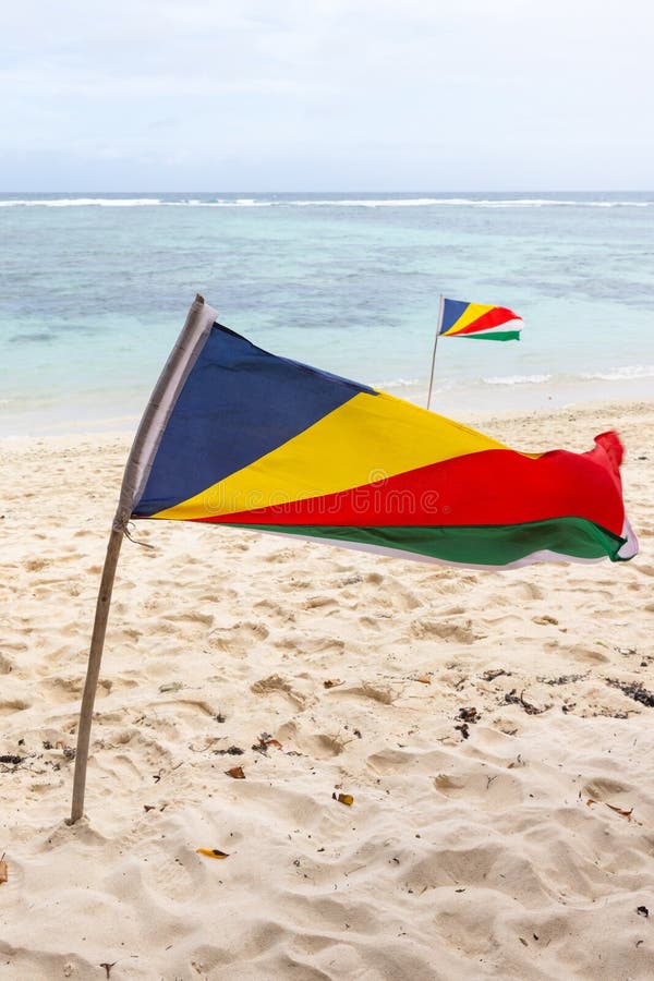 Flags of Seychelles Mounted on the Beach Waving in Wind Stock Image ...