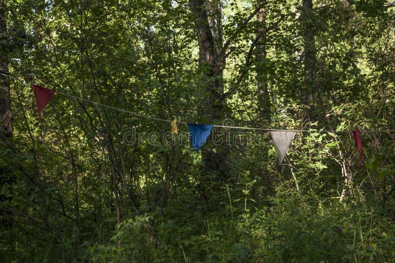 Flags Signaling the Start of a Path Stock Photo - Image of party ...