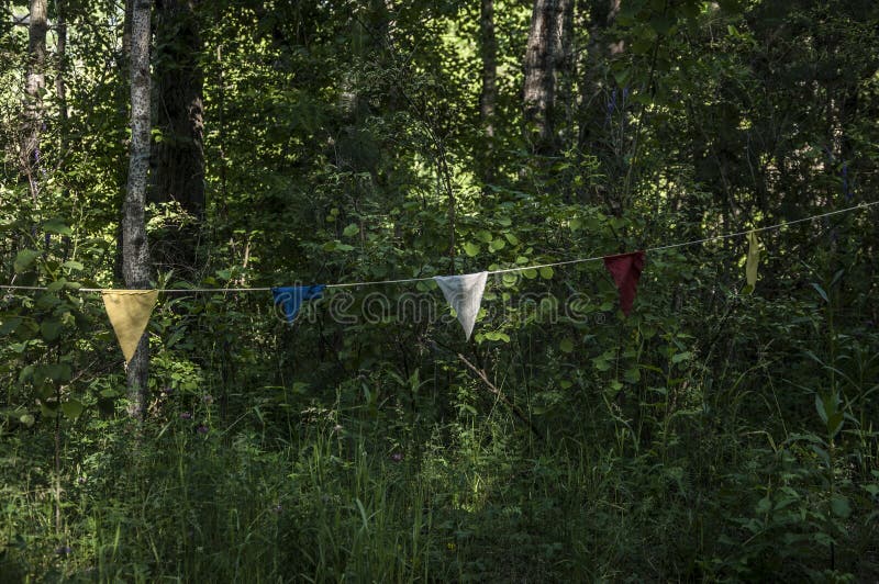 Flags Signaling the Start of a Path Stock Image - Image of carnival ...