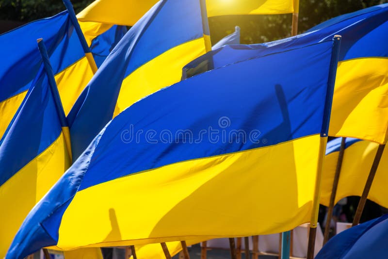 Flags of Ukraine on Independence Day. Symbol of Ukraine Stock Image ...