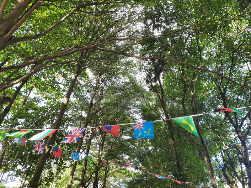 Flags of Various Countries in the World Editorial Photography - Image ...
