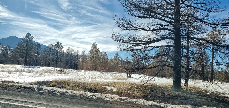 Flagstaff after Snowfall stock image. Image of cloud - 273623909