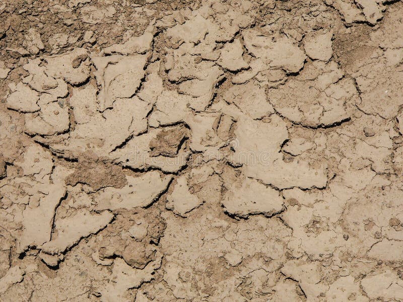 Geology. Flakes of Dried Mud Stock Photo - Image of agriculture, flakes ...
