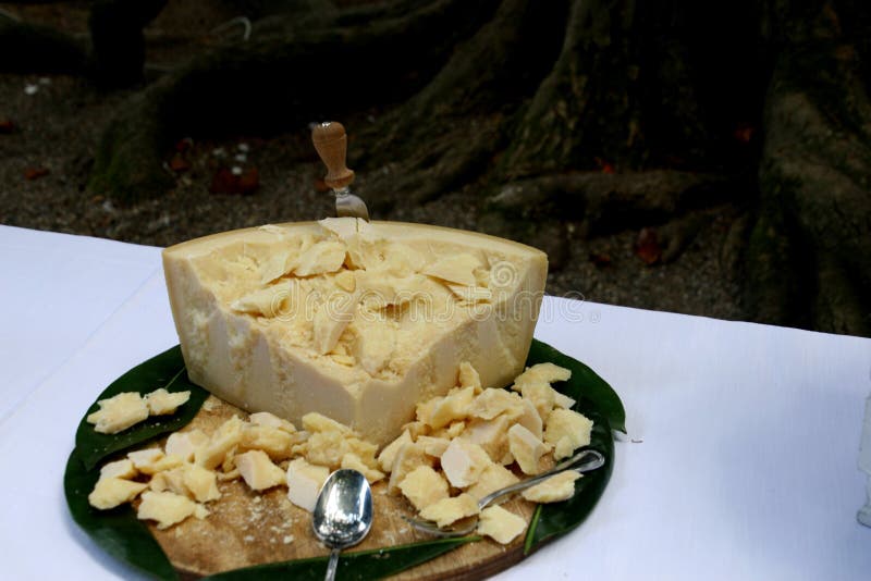 Flakes of Italian Hard Paste Cheese Stock Photo - Image of derivative ...