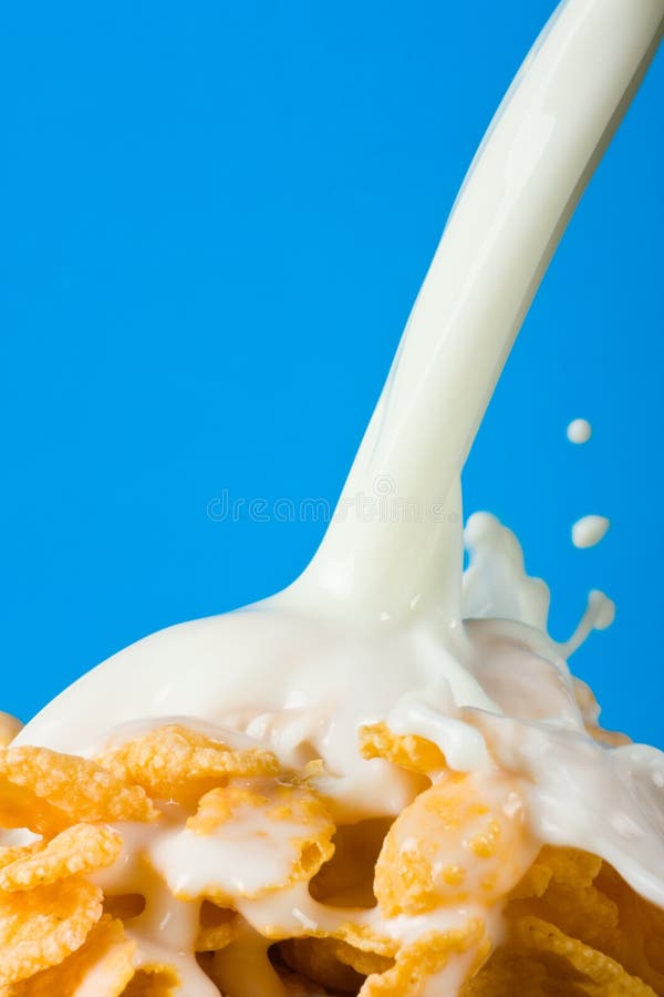 Flakes with milk stock photo. Image of morning, granola - 12697364