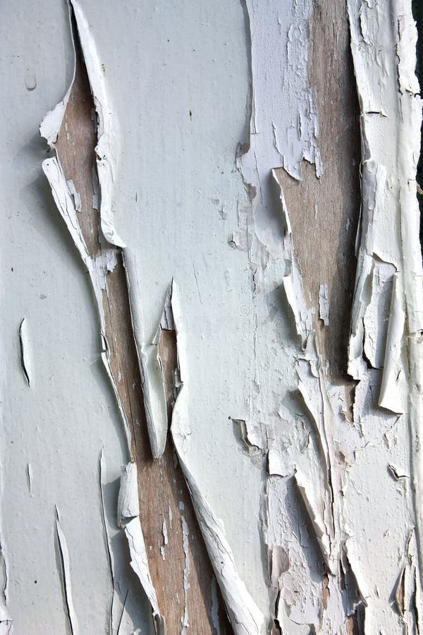 Flaking Paint stock photo. Image of contrast, pattern - 10544872