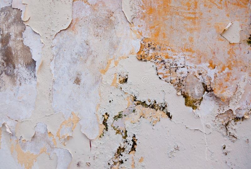 Flaking paint stock image. Image of build, paint, flaking - 22746981