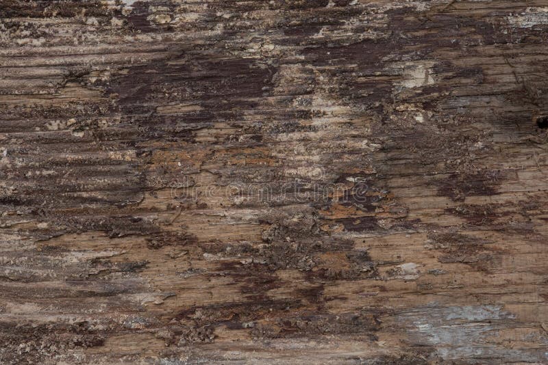 Distressed Background of Muted Colours Stock Illustration ...