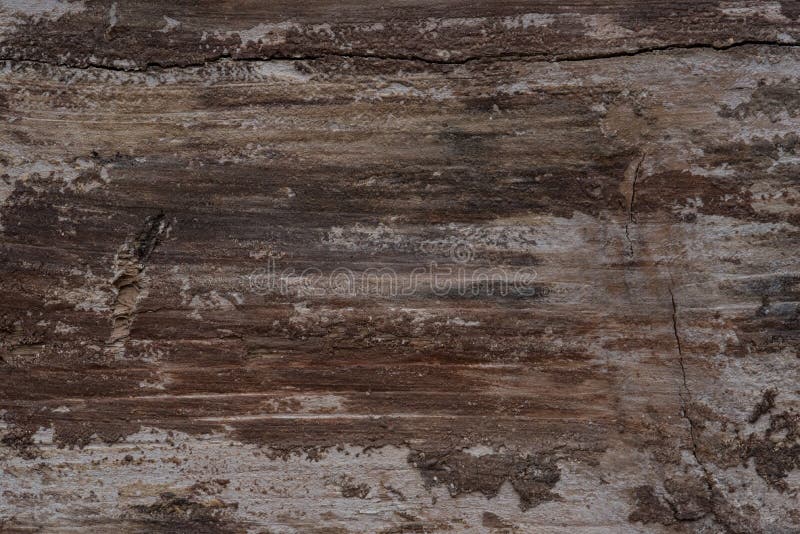 Distressed Background of Muted Colours Stock Illustration ...