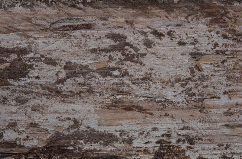 Distressed Background of Muted Colours Stock Illustration ...