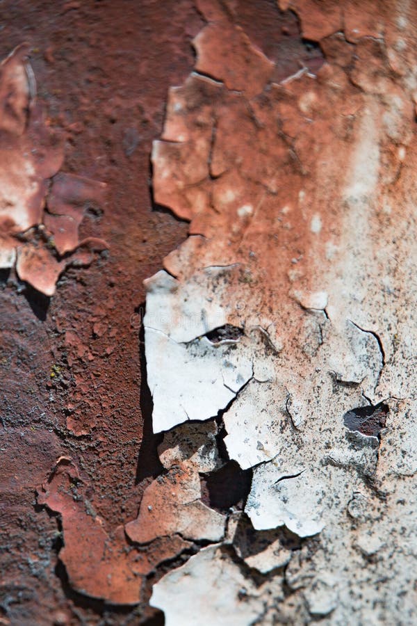 Flaking paint on metal stock photo. Image of corroded - 117657208