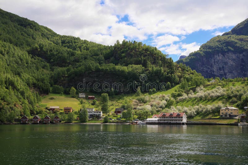 Flam stock photo. Image of summer, peninsula, flam, pattern - 37069686