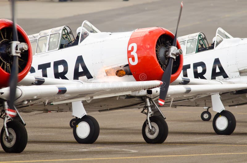 Flamber Harvard photo éditorial. Image du flammes, lions - 32249676