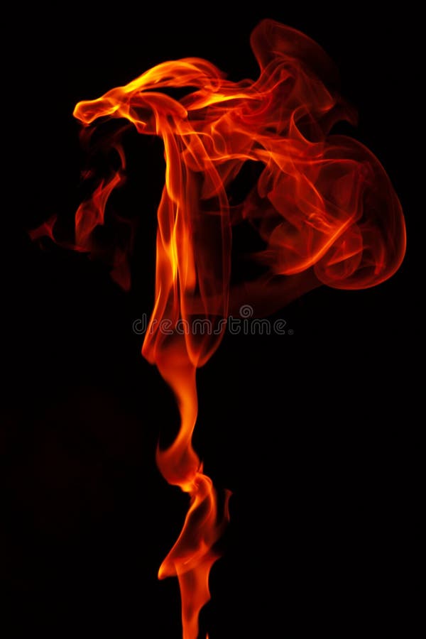 Rose on fire stock image. Image of ignition, decorative - 24140099