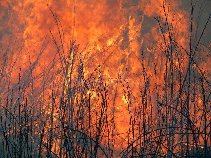 Fire Whorl stock photo. Image of outdoor, heat, wind, orange - 2311648