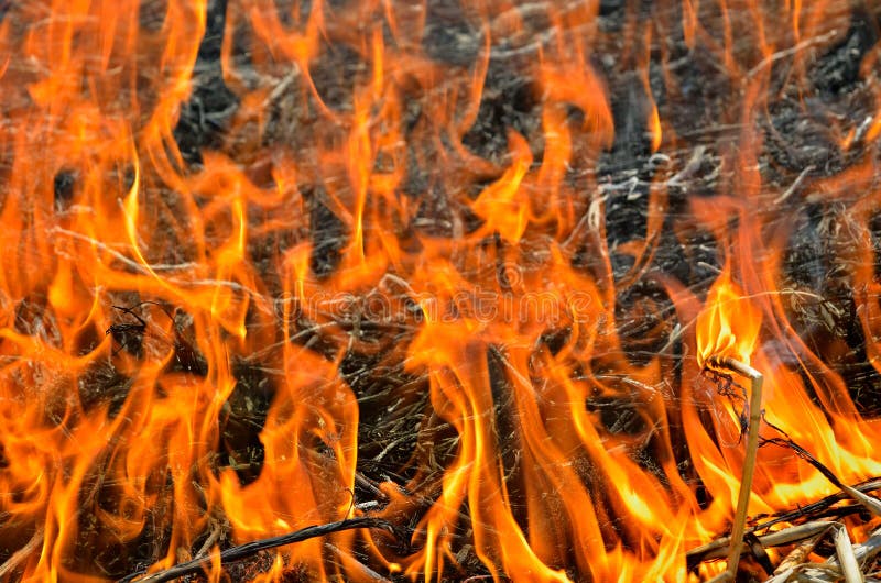 Flame and ash 6 stock image. Image of flammable, damage - 27066593