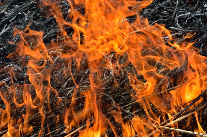 Flame and ash 7 stock photo. Image of light, horizontal - 43960538