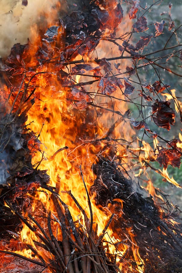 The burning ashes stock photo. Image of outdoor, energy - 48544908