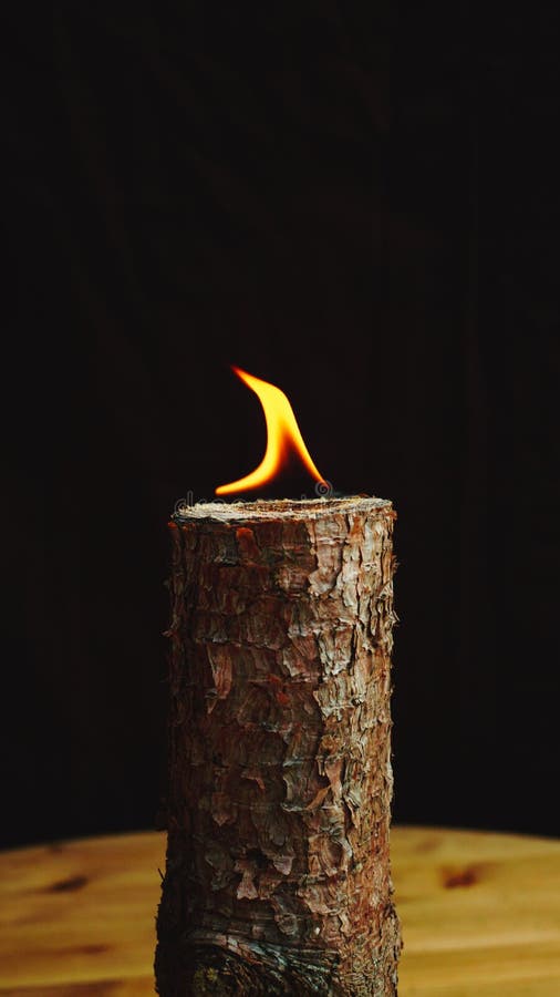 A Flame Burning on a Wooden Log, Against a Dark Background Stock Photo ...