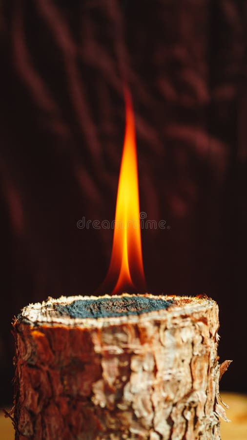 A Flame Burning on a Wooden Log, Against a Dark Background Stock Image ...