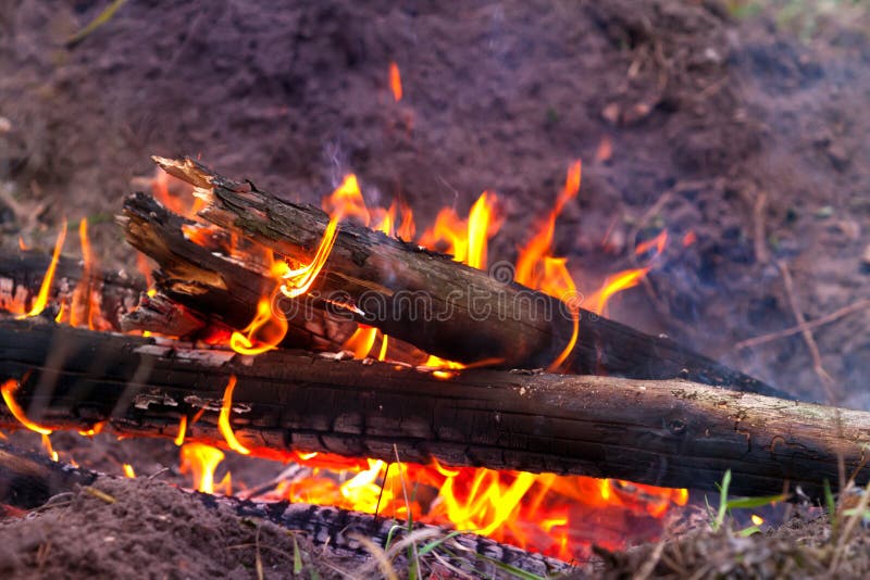 Flame of camp fire stock image. Image of fire, bright - 43492855