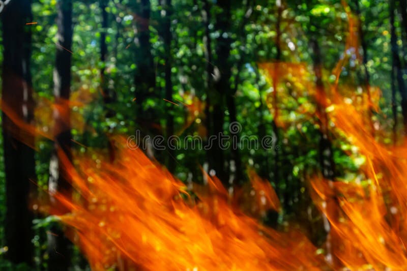 Flame of Charcoal Fire. Hearth for Cooking and Heating Stock Photo ...