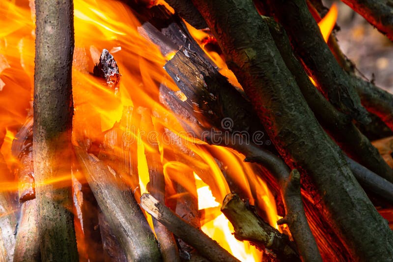 Flame of Charcoal Fire. Hearth for Cooking and Heating Stock Photo ...