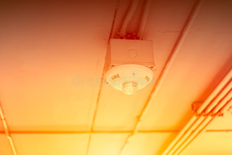 Smoke Sensor on the Ceiling in the Office Room. Fire Alarm Element ...